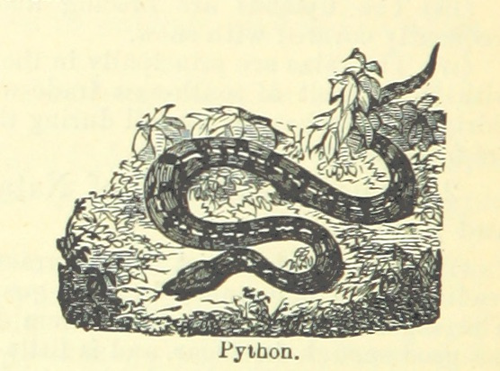 Python 3.6, A Tale of Two Futures - Idol Star Astronomer